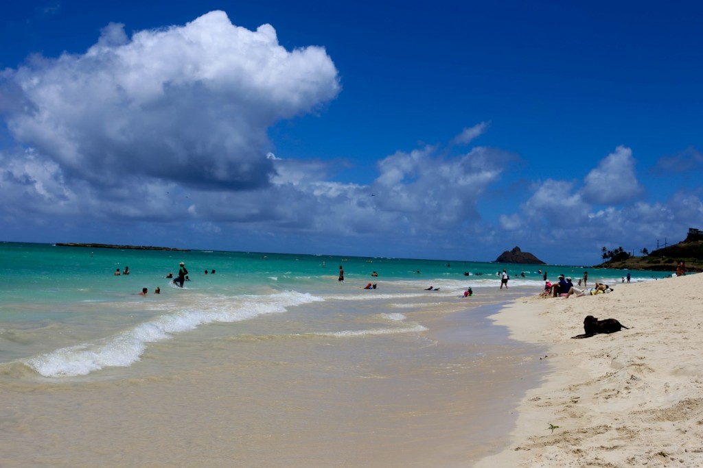 Spring Break Beach Trips: 7 Places to Go — and Where Not To - Price of ...